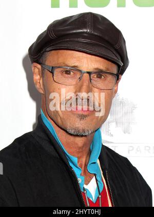 Michael Nader the American actor famous for his role on Dynasty passed ...