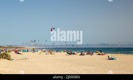 Beautiful panorama of hundreds of people practicing kitesurfing at ...