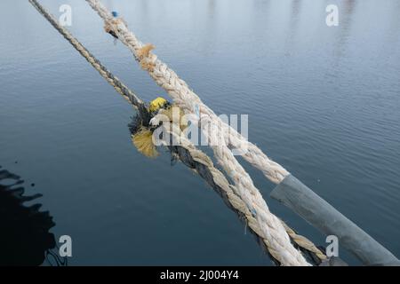 cargo steel slab discharging from the ship vessel laying onto the lorry ...
