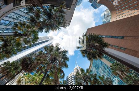 Amazing upward view of Sydney skyline Stock Photo - Alamy