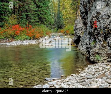 country forest river in early spring with no vegetation on the shores ...