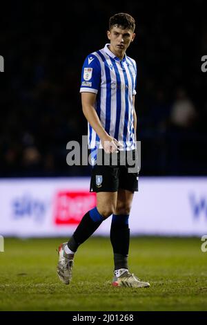 Sheffield, UK. 15th Mar, 2022. George Byers #14 of Sheffield Wednesday ...