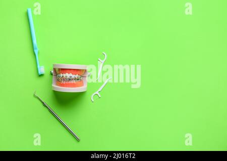 Model of jaw with dental braces, toothpicks, brush and tool on green ...