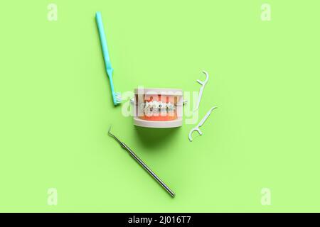 Model of jaw with dental braces, toothpicks, brush and tool on green ...
