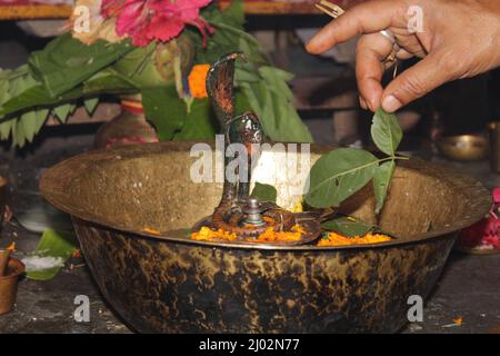 Hindu Devotees offering milk And Water to Shiv Lingam on occasion of ...