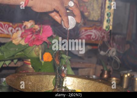Hindu Devotees offering milk And Water to Shiv Lingam on occasion of ...