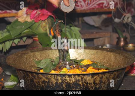 Hindu Devotees offering milk And Water to Shiv Lingam on occasion of ...