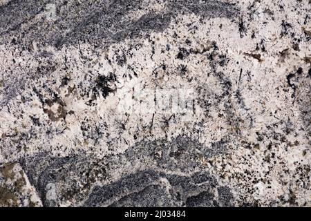Strict Alaska white- granite background, modern texture in beautiful ...