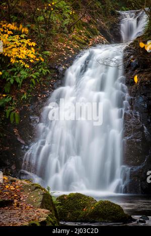 glenoe waterfall in county antrim ireland Stock Photo - Alamy