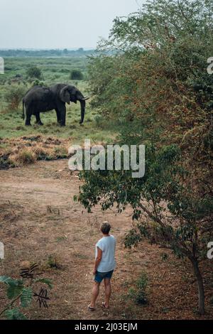 Elephant woman forest nature animal travel traditional hat tourism ...