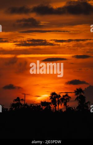 Grand Cayman sunset Stock Photo - Alamy