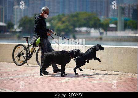 Man is walking next to Shing Mun River, Hong Kong at sunny day Stock ...