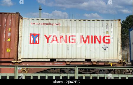 Yang ming logo Stock Photo - Alamy