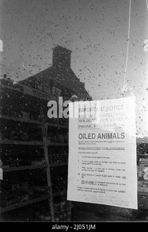 Shetland oil spill. The oil tanker MV Braer lying on the coast in ...