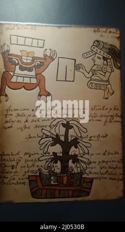 Images of the Tudela Codex in the America Museum, Madrid Spain Stock ...