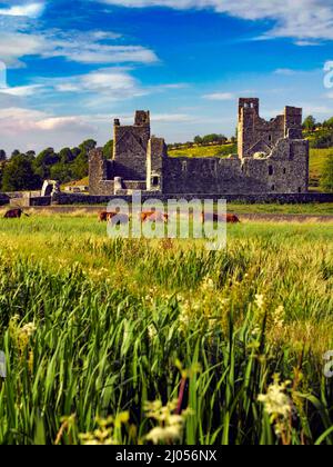 County Westmeath, Ireland, Fore Abbey in the distance Stock Photo - Alamy