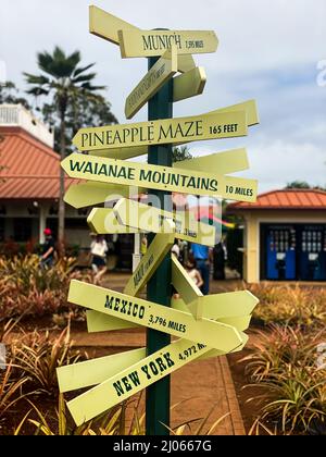 Vertical shot of directional signs to different locations at Dole ...