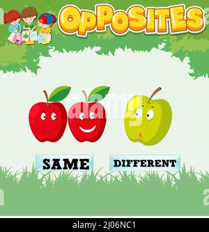 Opposite words for same and different illustration Stock Vector Image ...