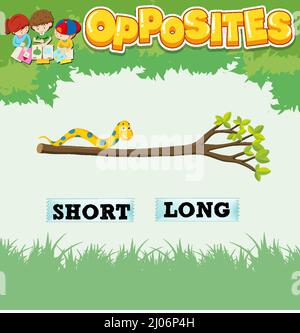 Opposite words for short and long illustration Stock Vector Image & Art ...