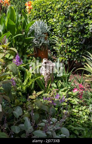 Urban residential garden setting during summer on the Gauteng Highveld ...