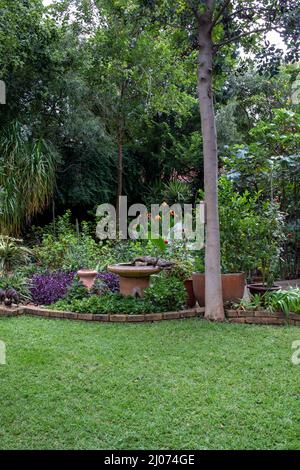 Urban residential garden setting during summer on the Gauteng Highveld ...
