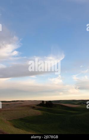 Photo of big field going to horizon Stock Photo - Alamy