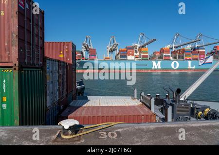 The seaport of Rotterdam, Maasvlakte, Hutchinson ECT Delta Terminal ...