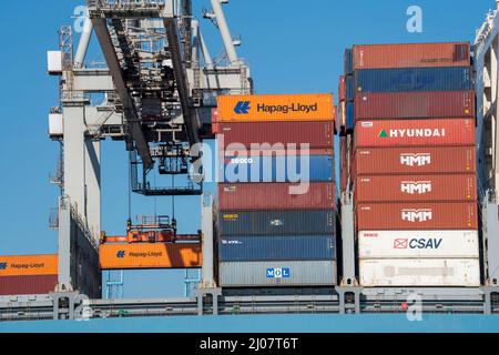 The seaport of Rotterdam, Maasvlakte, Hutchinson ECT Delta Terminal ...