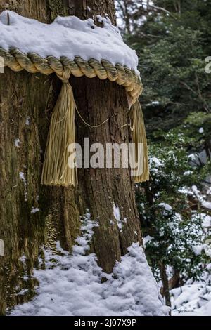Traditional Japanese Shinto shimenawa sacred rope covered in snow, tied ...