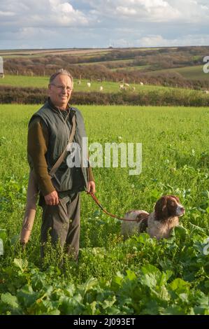 Beating, pheasant shoot, Pembrokeshire, Wales, UK Stock Photo - Alamy