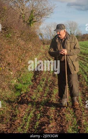 Beating, pheasant shoot, Pembrokeshire, Wales, UK Stock Photo - Alamy
