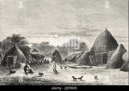 Daily life in a tribe of Kasongo, Central Africa. Old 19th century ...