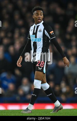 Joe Willock #28 of Newcastle United celebrates his goal with his ...