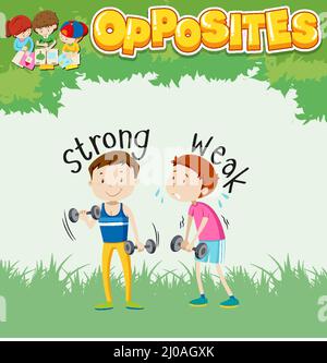 Opposite words for strong and weak illustration Stock Vector Image ...