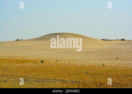 Thar desert. Barren land , sand dunes of Jaisalmer, Rajasthan, India ...