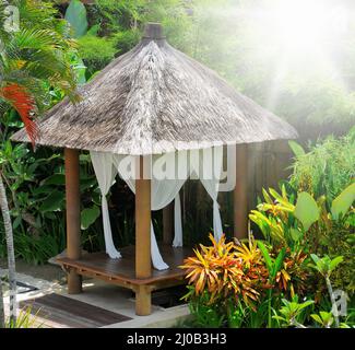 bower in a tropical garden Stock Photo - Alamy