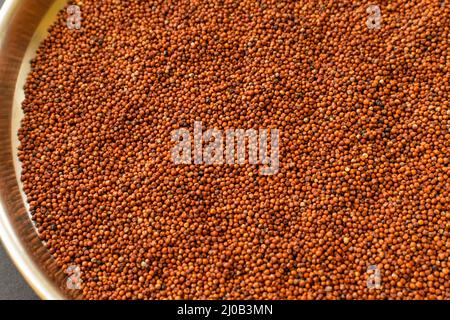 Macro photo of finger millet with selective focus and blurry background ...