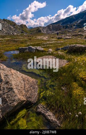 alpine valley of Greina Plateau in Surselva, Switzerland Stock Photo ...