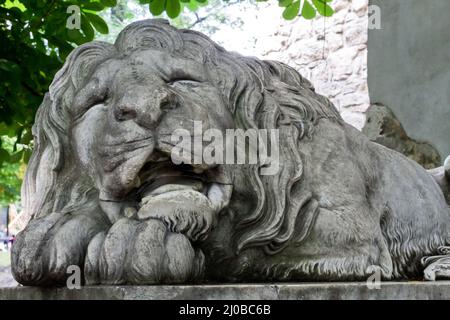 The sleeping lion sculpture in Lviv, Ukraine Stock Photo - Alamy
