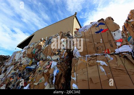 Karton, Kartonangen zum Altpapierrecycling, gestapelt in Bündeln ...