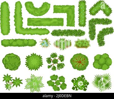 Green bushes for landscape plan. Plants top view Stock Vector Image ...