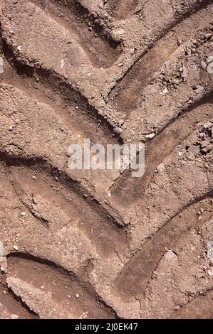 Closeup of a tractor tire track imprint or tread mark in maize crop ...