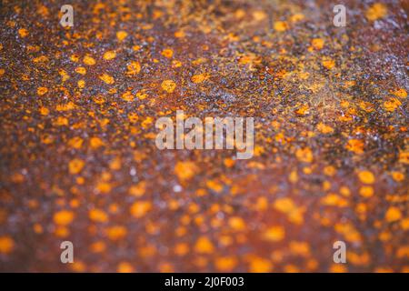 A selective focus shot of old rusty nails on a wooden wall with a sepia ...