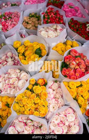 Selling roses and roses of various colors for sale in a flower shop ...