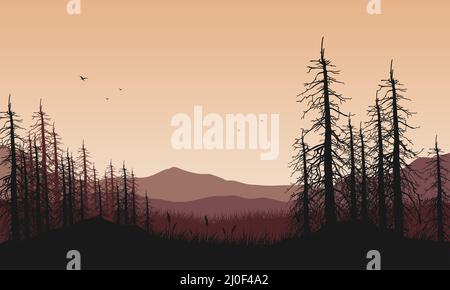 Mountain view from the suburbs with the silhouette of cypress trees ...