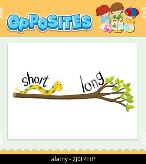 Opposite words for short and long illustration Stock Vector Image & Art ...