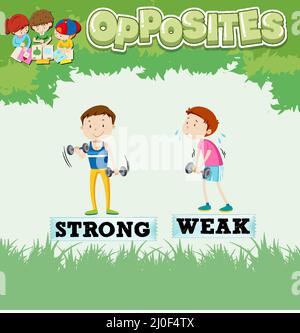 Opposite words for strong and weak illustration Stock Vector Image ...