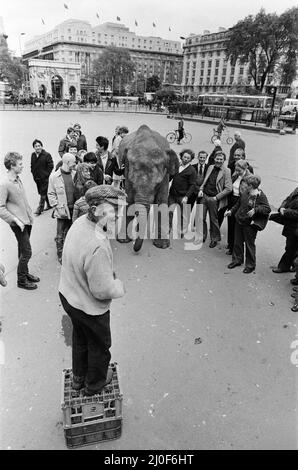 Maureen the elephant, with Robert Brothers circus, is living in Hyde ...