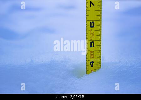 Measuring the snow depth with yellow ruler 4 feet Stock Photo - Alamy