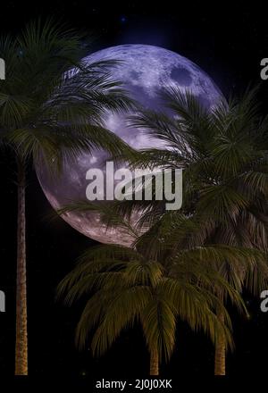 Fantasy palm trees and full moon, elements for this image furnished by ...